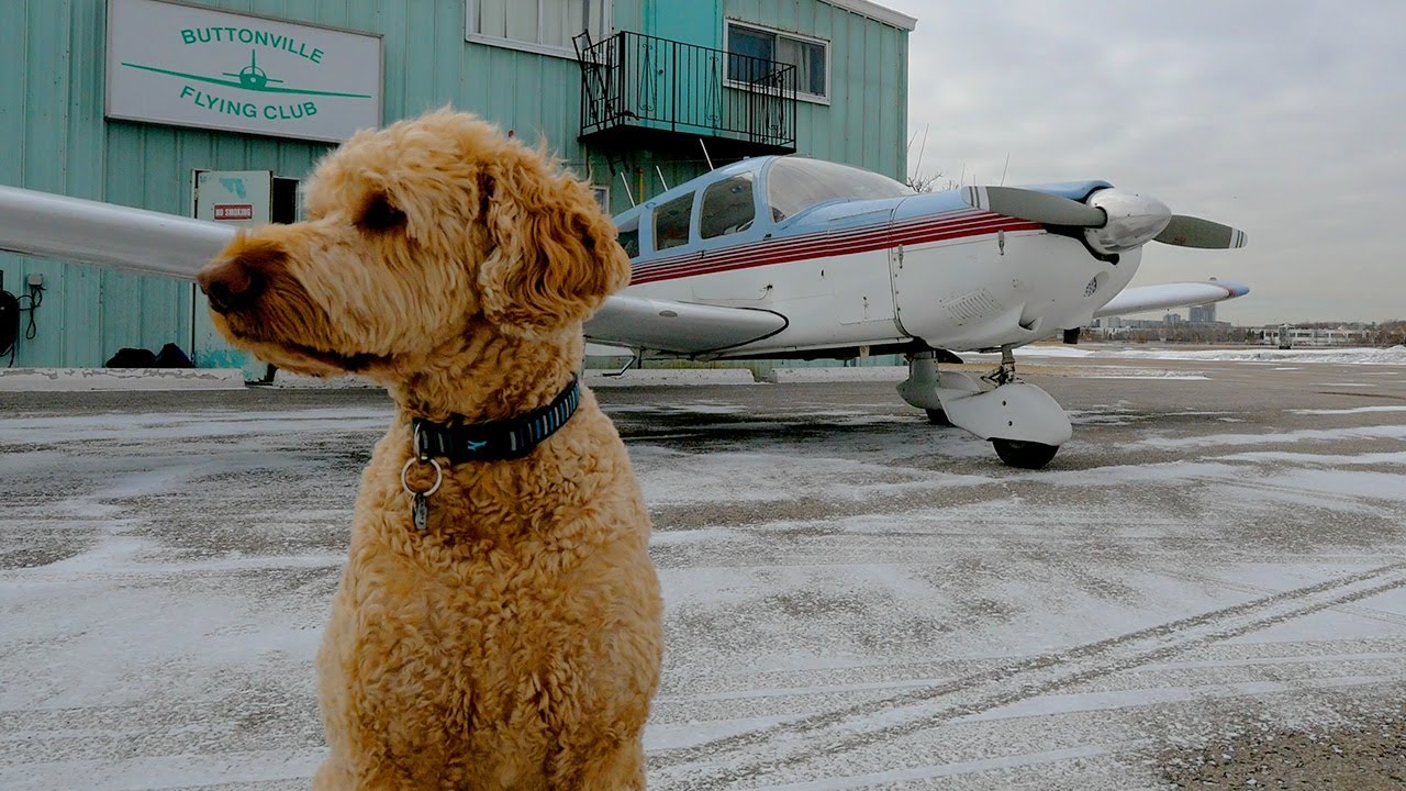BIG Dog's First Flight - How we tried to make it go well